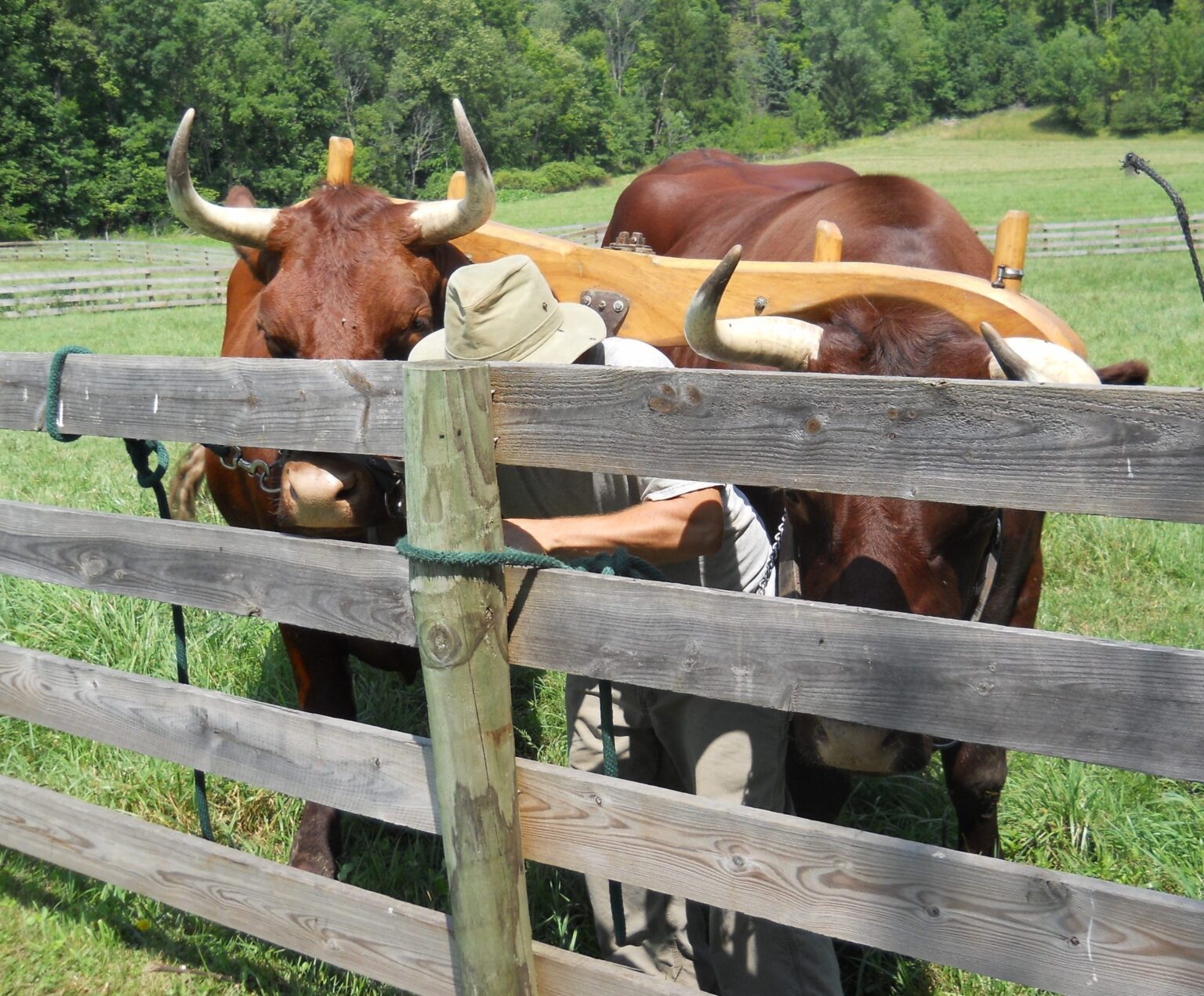 Ideas for Your Visit | Destination Hudson Visitor's Center Ohio
